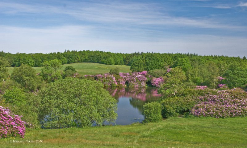 Rossmore Forest Park/8. Rossmore in summer - The castle lake.